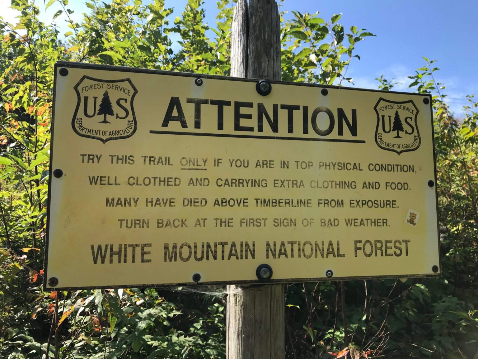 Ultimate Hiking Guide to the Presidential Traverse Trail | Go Travel Daily